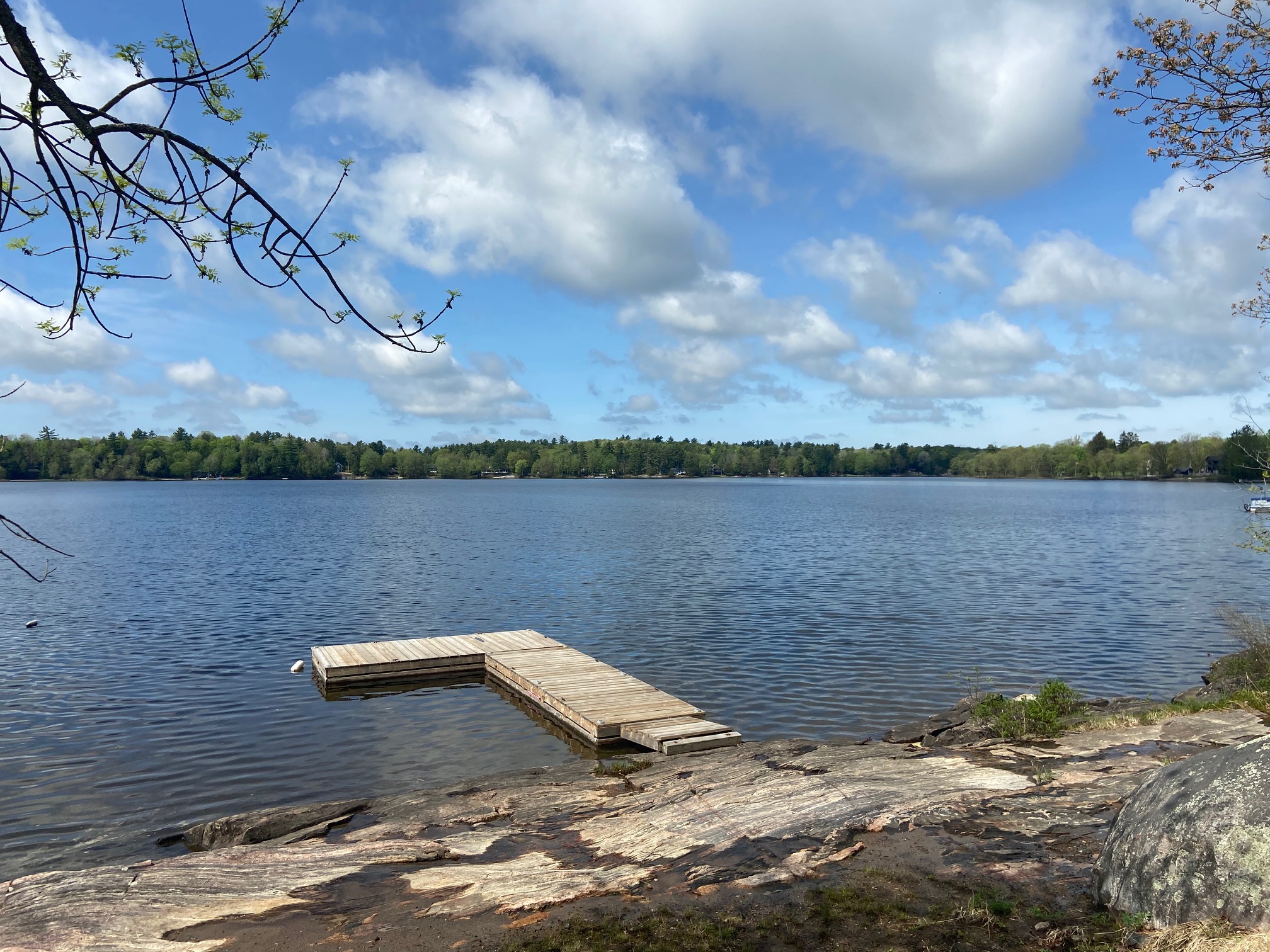 1168 Moon River Rd | Bob Clarke Realty